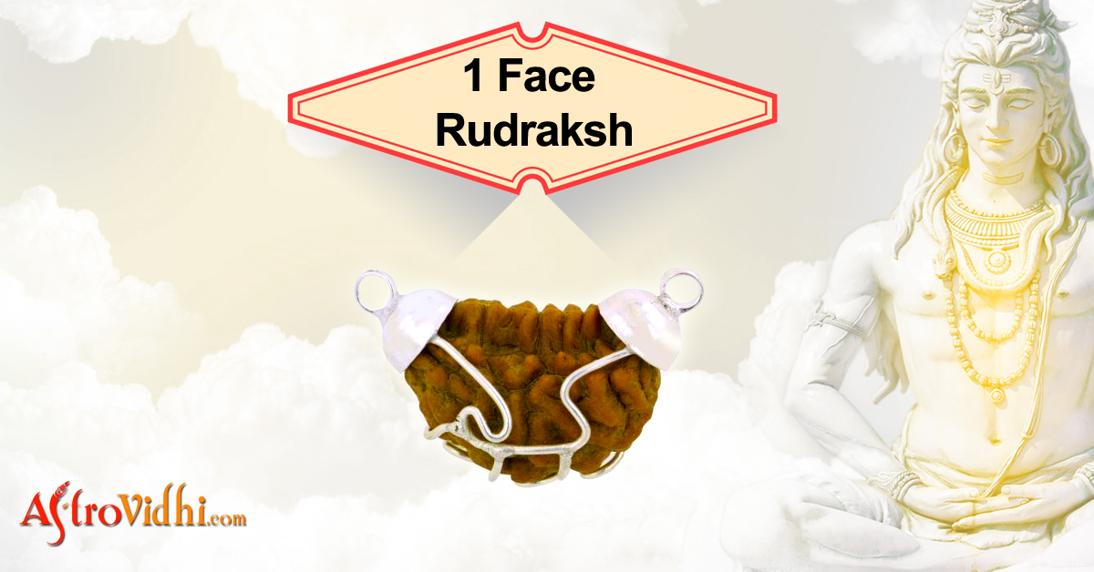 The Significance of Ek Mukhi Rudraksha - AstroVidhi